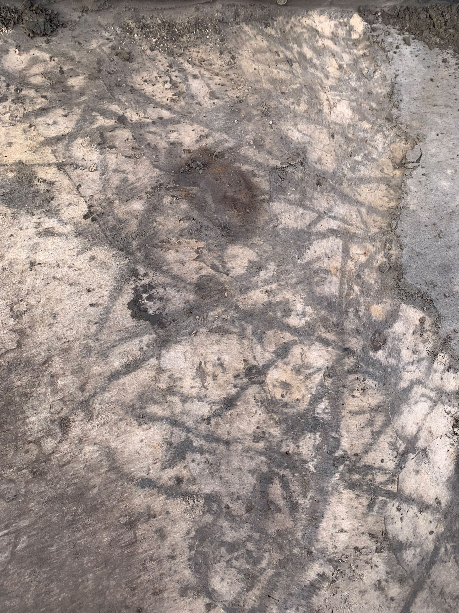 I stenalderbondens fodspor - Vardemuseerne