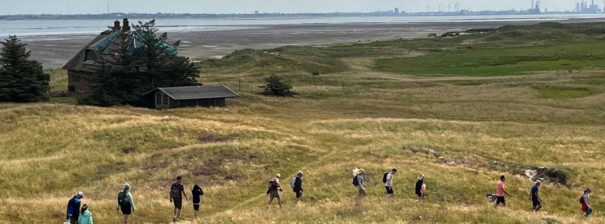 Langli – Die unbewohnte UNESCO Insel im Wattenmeer - 04. August 2025 ...